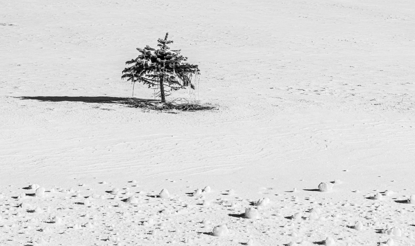 Brooks Jensen Arts - Every Picture Is a Compromise