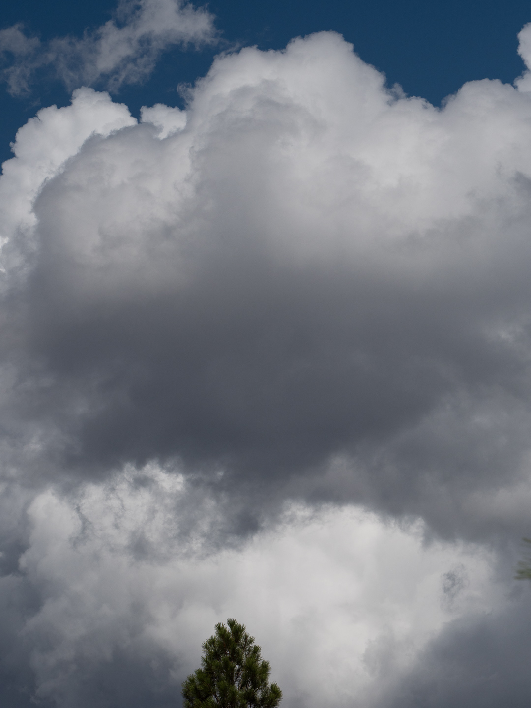 Brooks Jensen Arts - Every Picture Is a Compromise